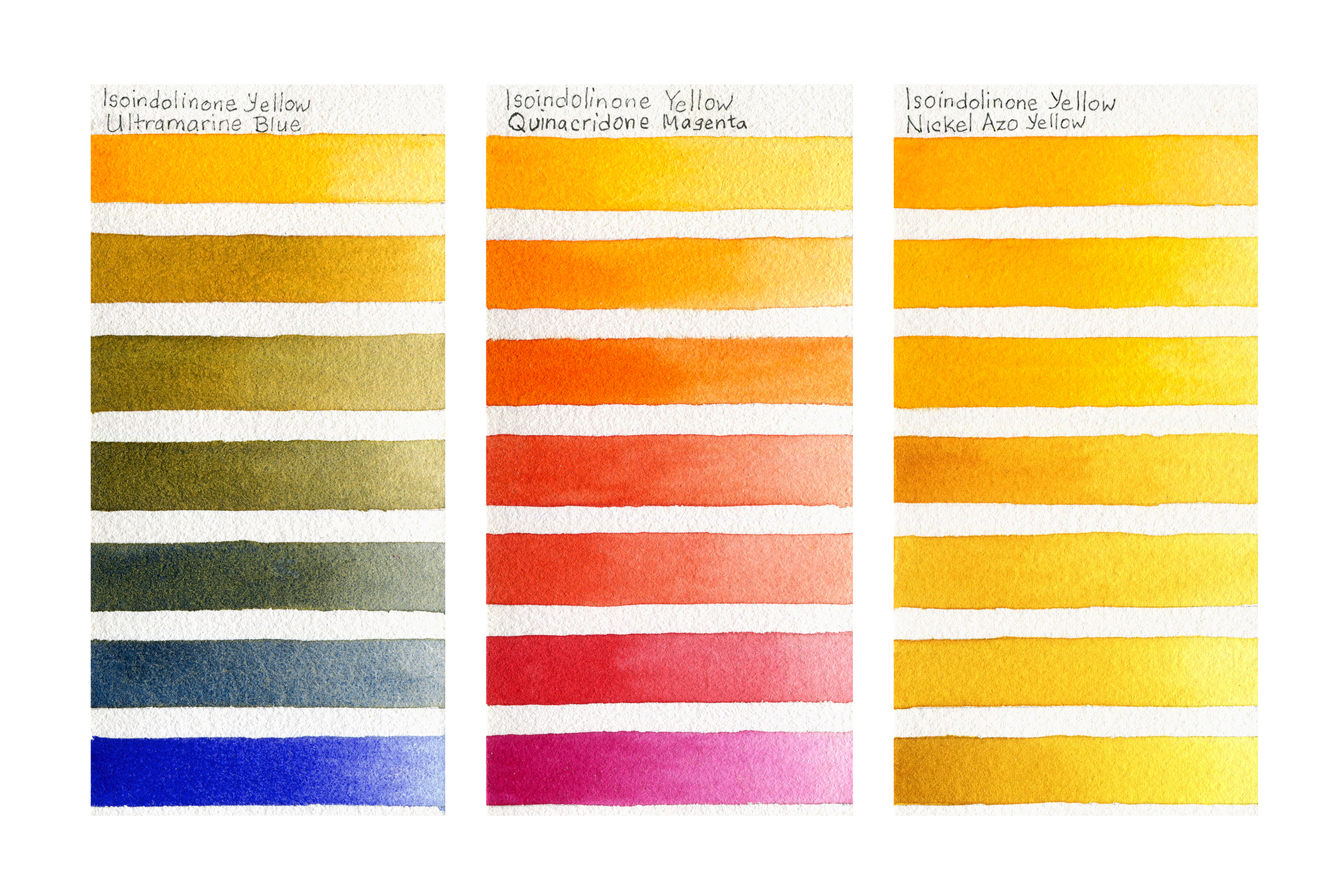 PY110, LF I, non-granulating, semi-transparent, semi-staining